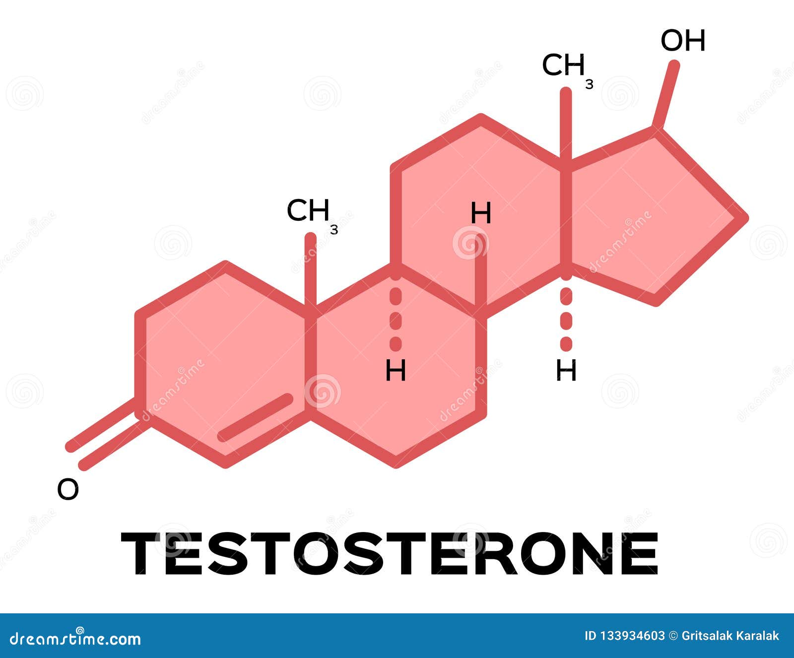 Sex Hormones Testosterone Stock Vector Illustration Of Infographic