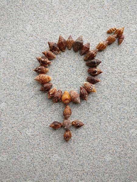 Sex Sign For Bisexual Created With Snail Shells Stock Image Image Of Bisexual Intercourse