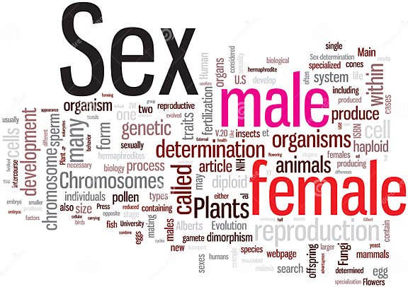 Sex Word Cloud Stock Illustration Illustration Of Word 11822380