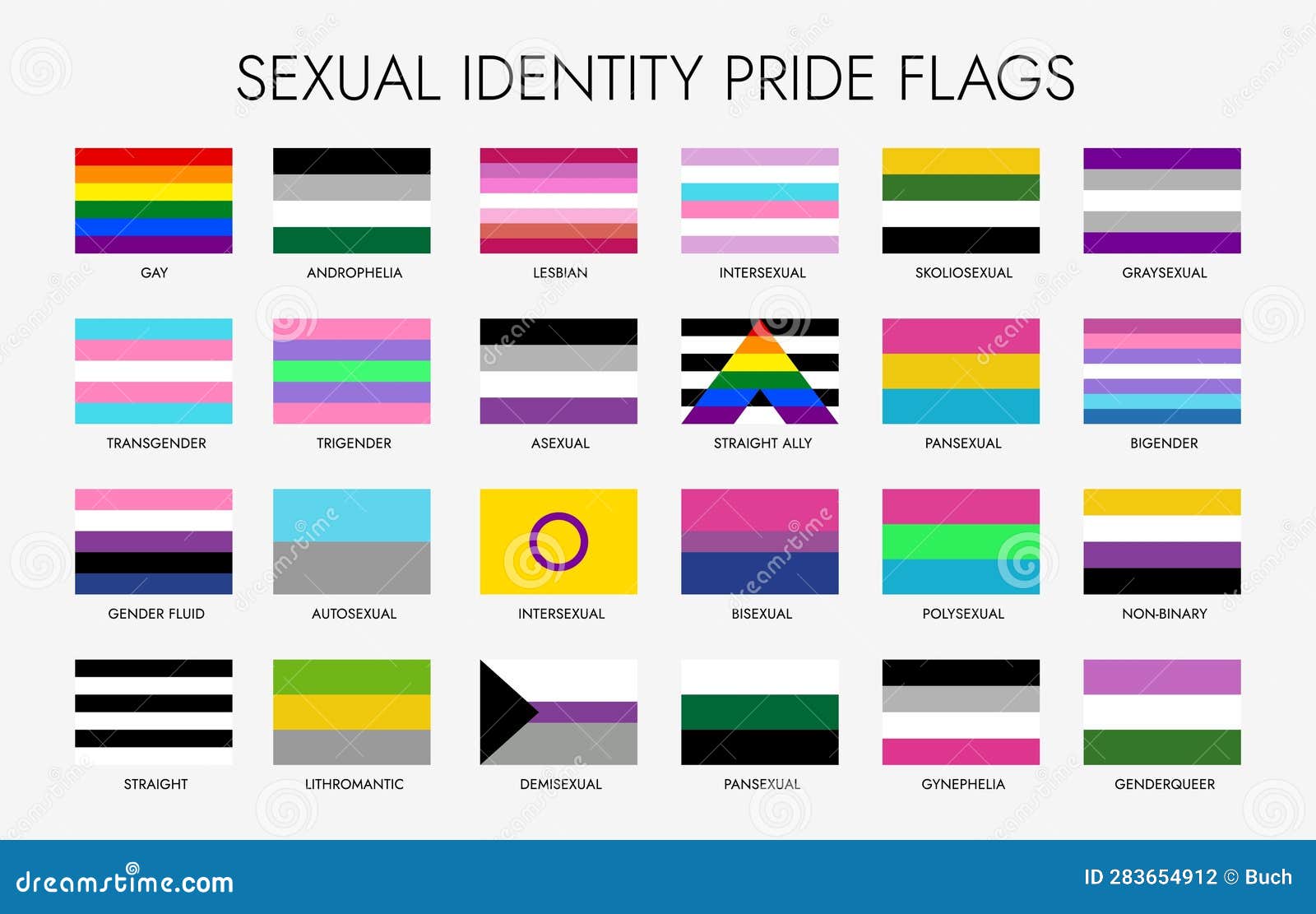 Sexual Diversity Lgbt Pride Flags Vector Set Stock Vector