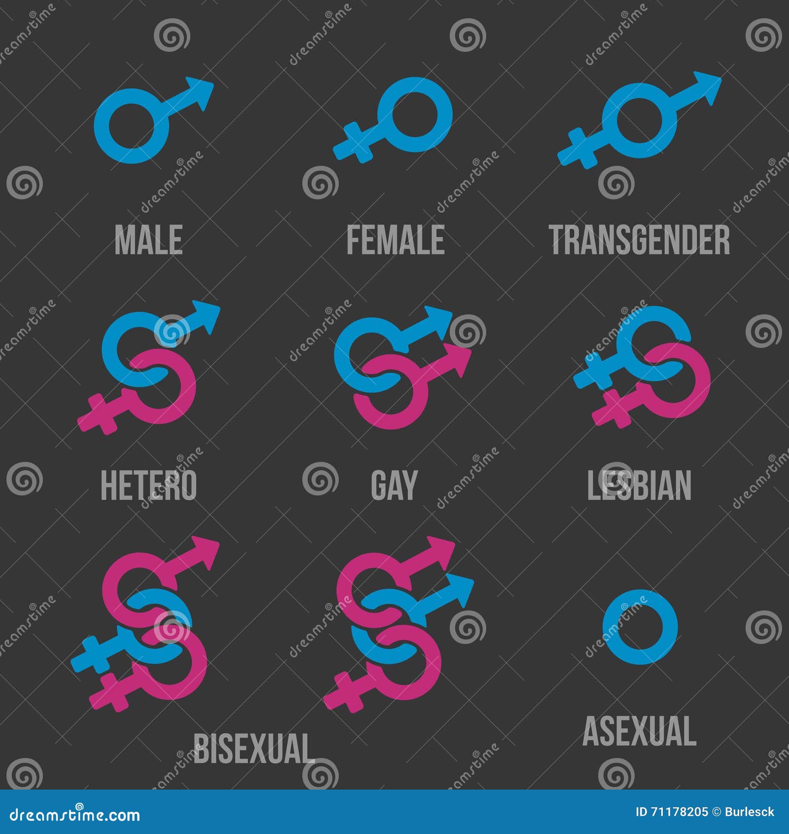 Set Of Sexual Orientation Vector Symbols Pink And Blue Icon Signs