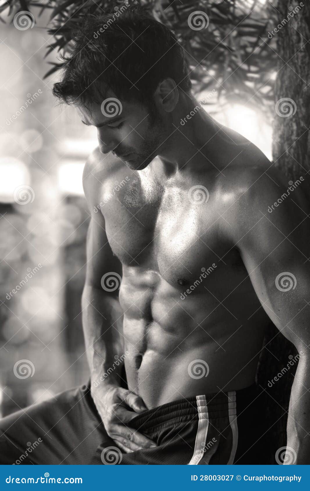 Buff man stock image. Image of portrait, shirtless, buff - 28003027