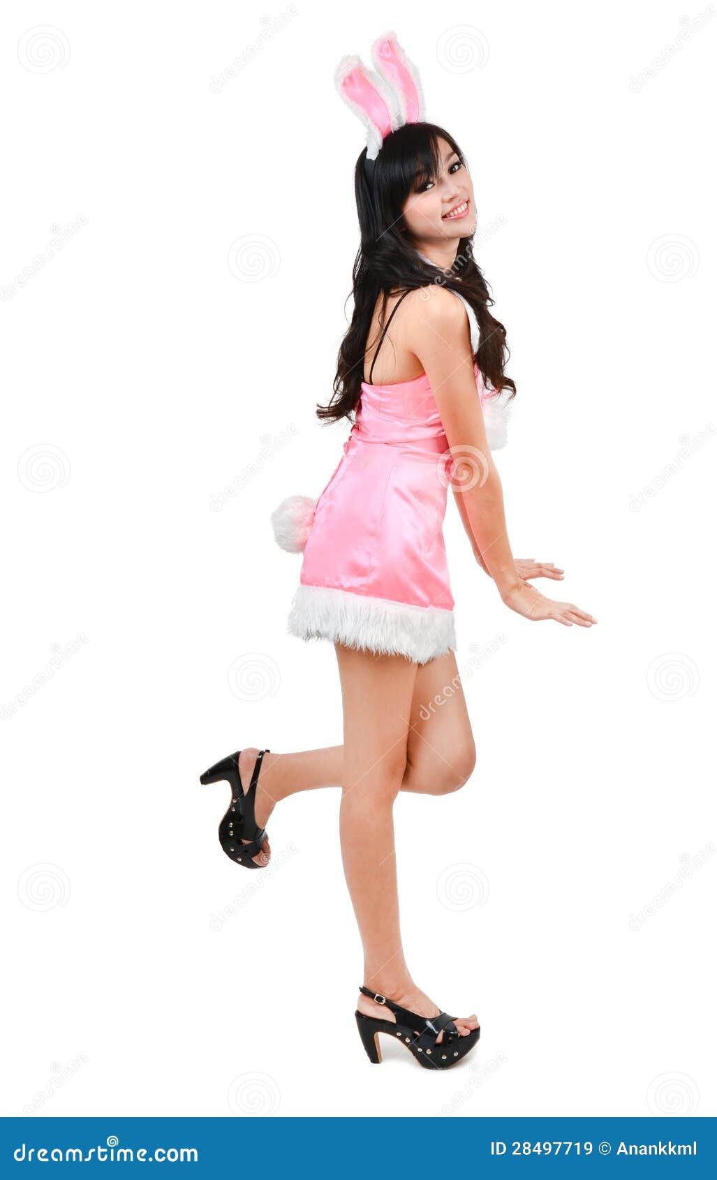 Bunny girl stock image. Image of fancy, isolated, lovely - 28497719
