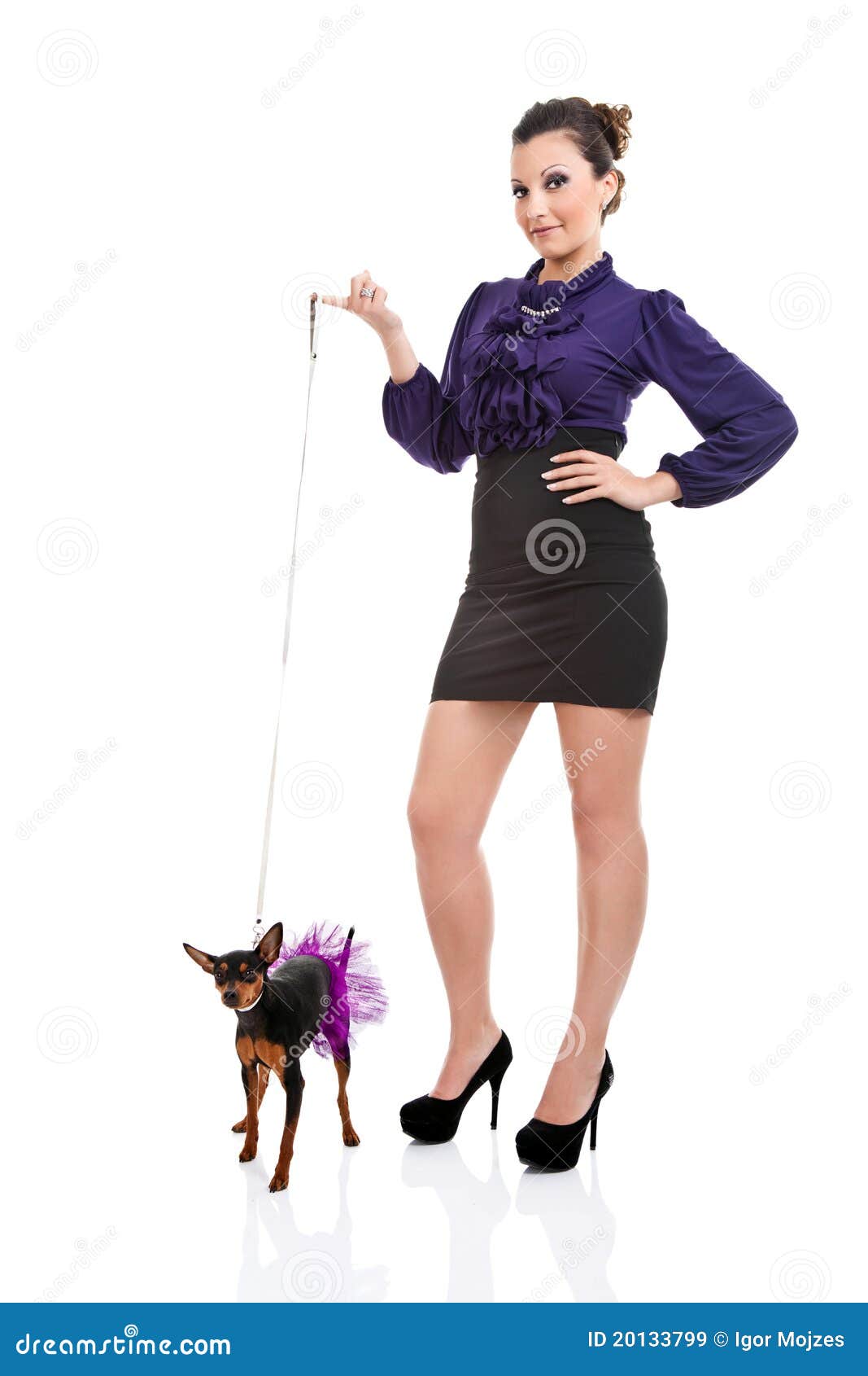 Dog lady stock image. Image of lady, attractive, authority - 20133799