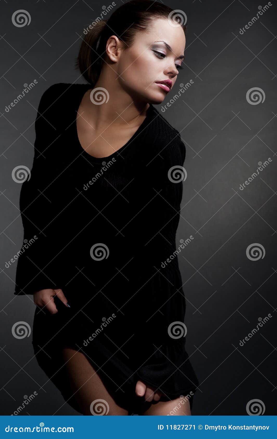 Elegant model stock image. Image of lips, brown, caucasian - 11827271