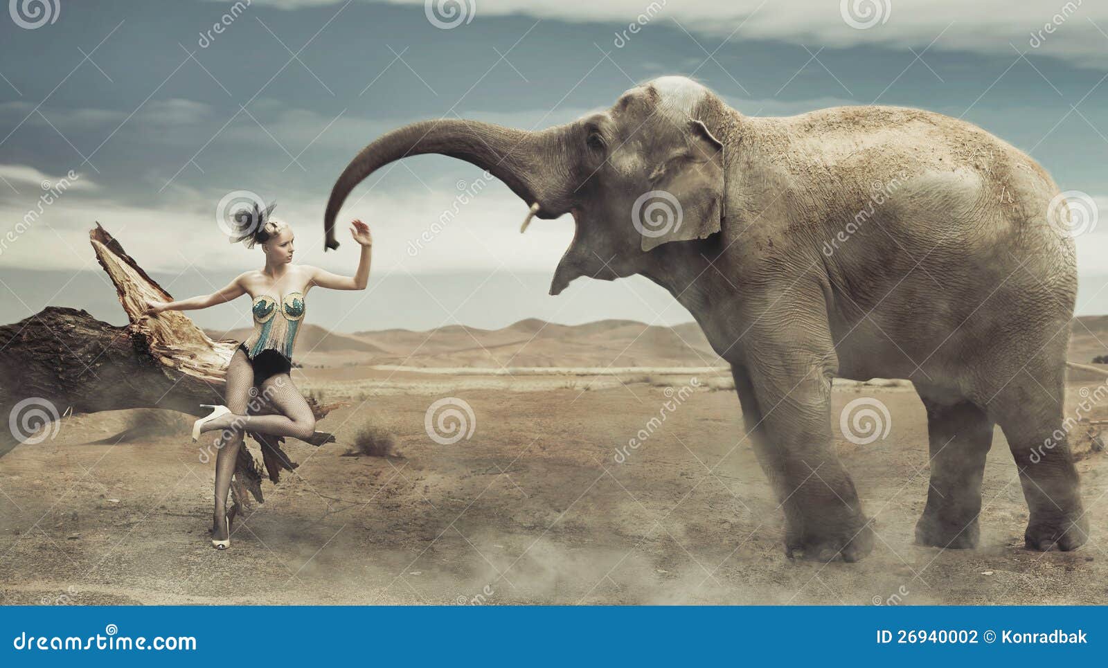 Fashionable Lady with Elephant Stock Photo - Image of girl, calm: 26940002