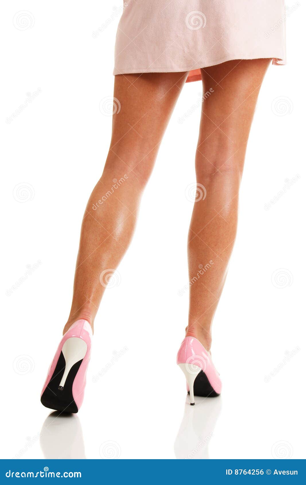 Female legs stock photo. Image of long, lose, girl, sensual - 8764256