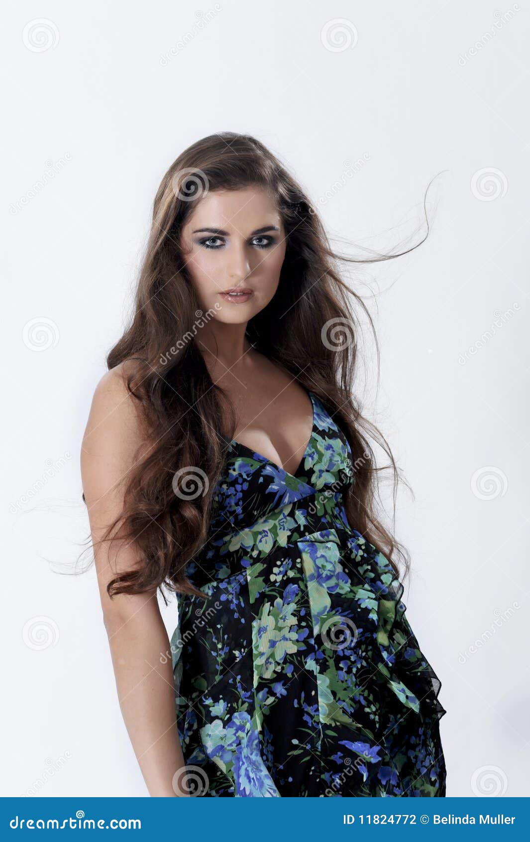 Girl! stock photo. Image of modeling, pose, chic, health - 11824772