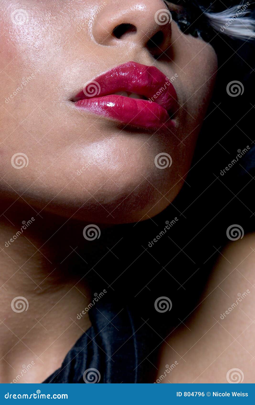 Lips stock photo. Image of shiny, silk, ethnic, face, latina - 804796