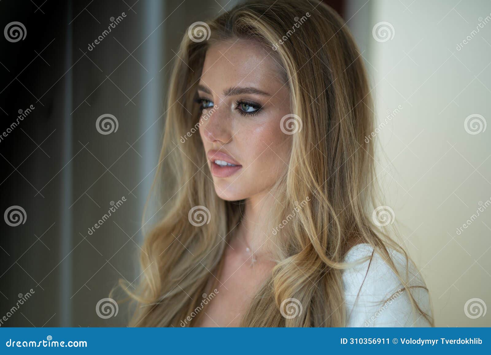 Makeup Beautiful Sensual Young Woman With Fashion Make Up Close Up
