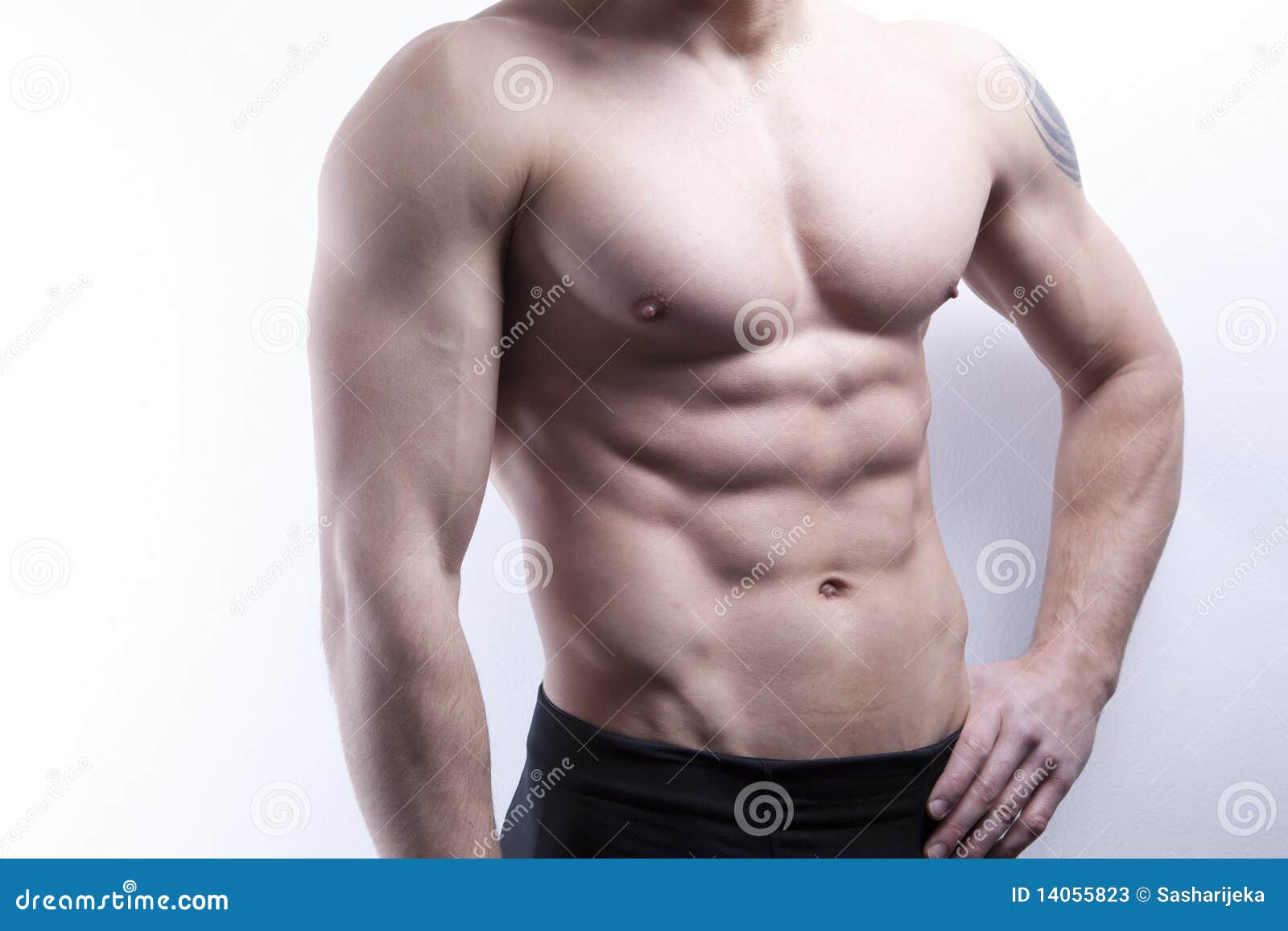Male s body (torso) stock image. Image of attractive - 14055823