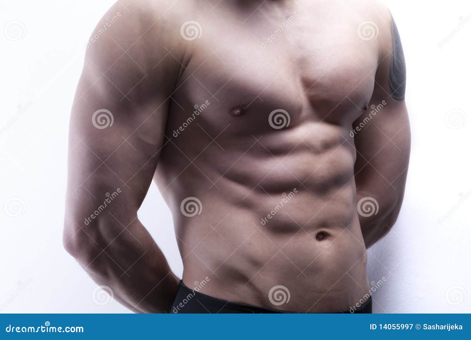 Male s body (torso) stock image. Image of built, shirtless - 14055997