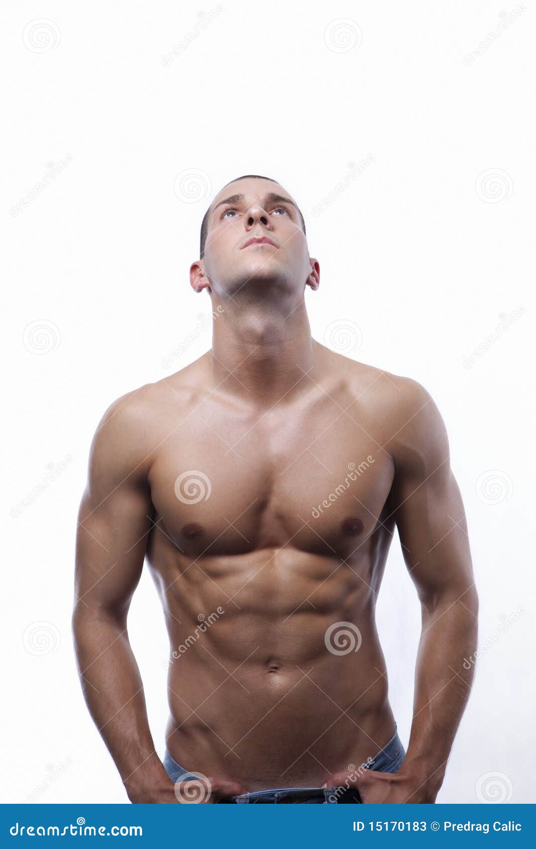 Male s body (upper part) stock image. Image of pack, nipple - 15170183