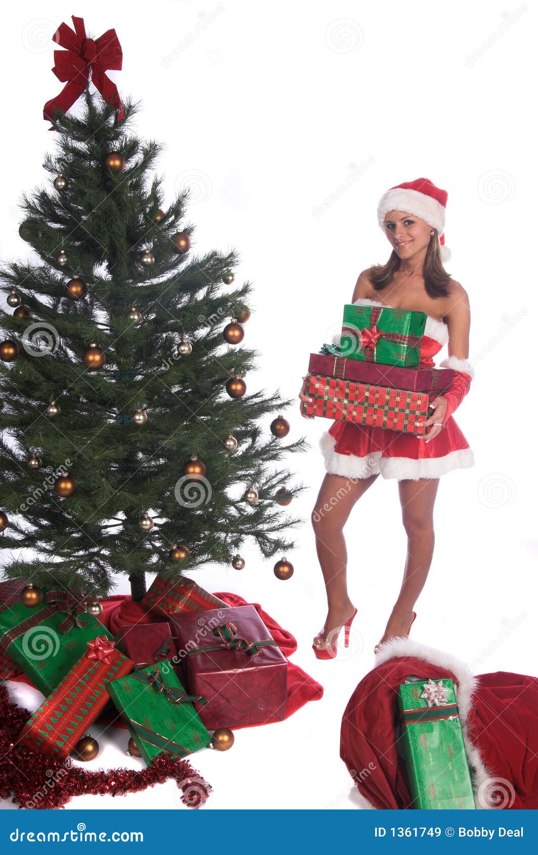 Mrs Claus stock image. Image of girl, gift, isolated, present - 1361749