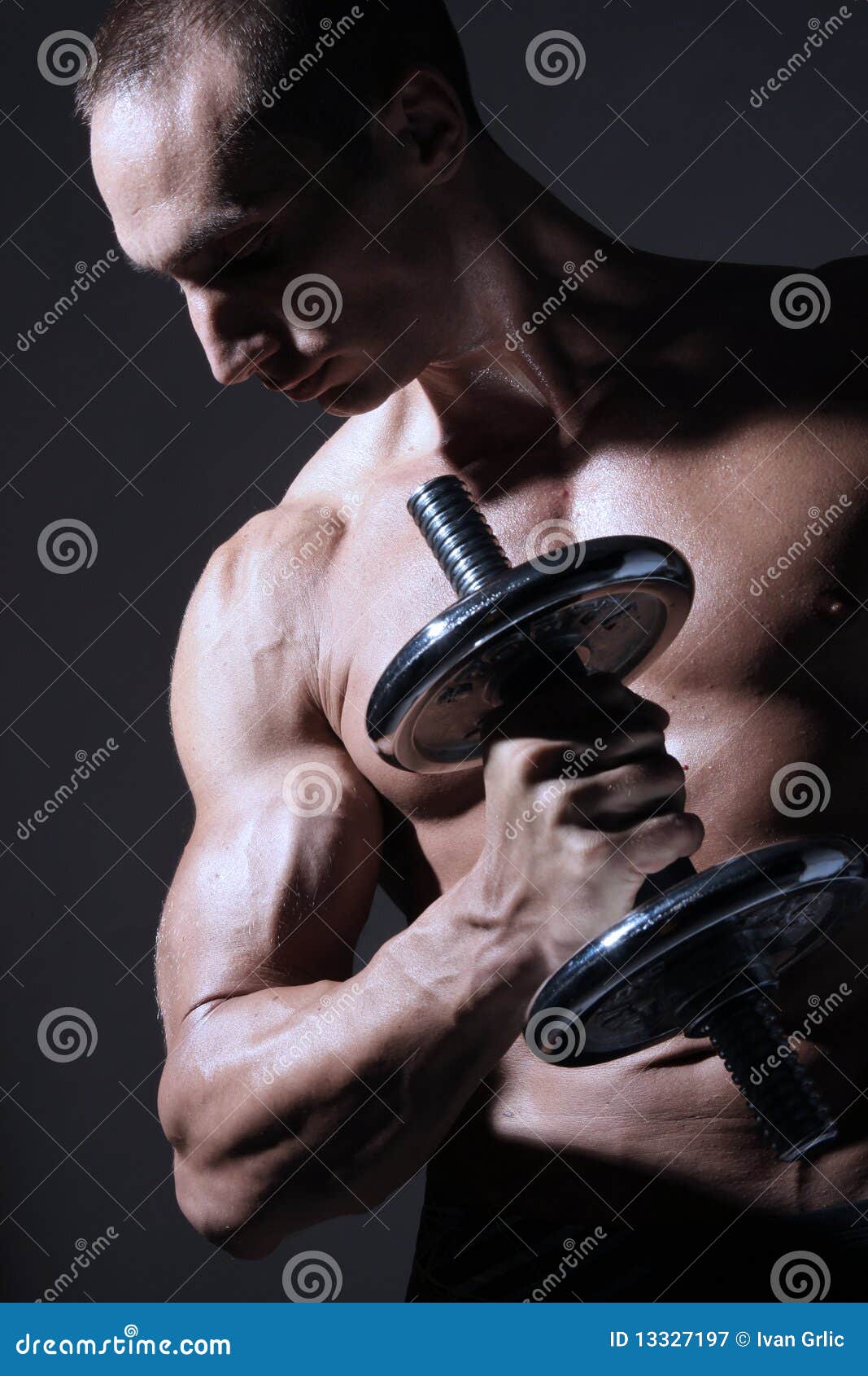 Muscular body builder stock image. Image of health, active - 13327197