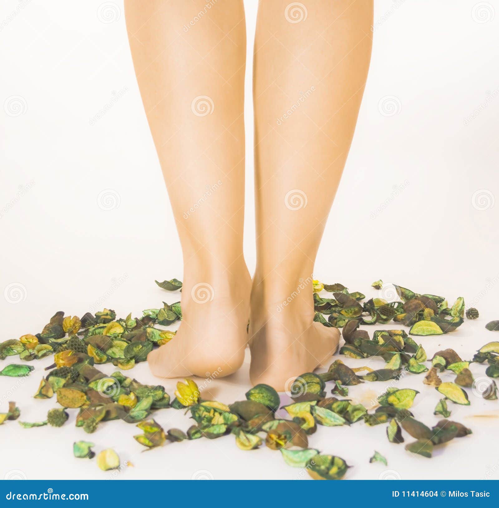 Woman legs stock photo. Image of legs, beautiful, knee - 11414604