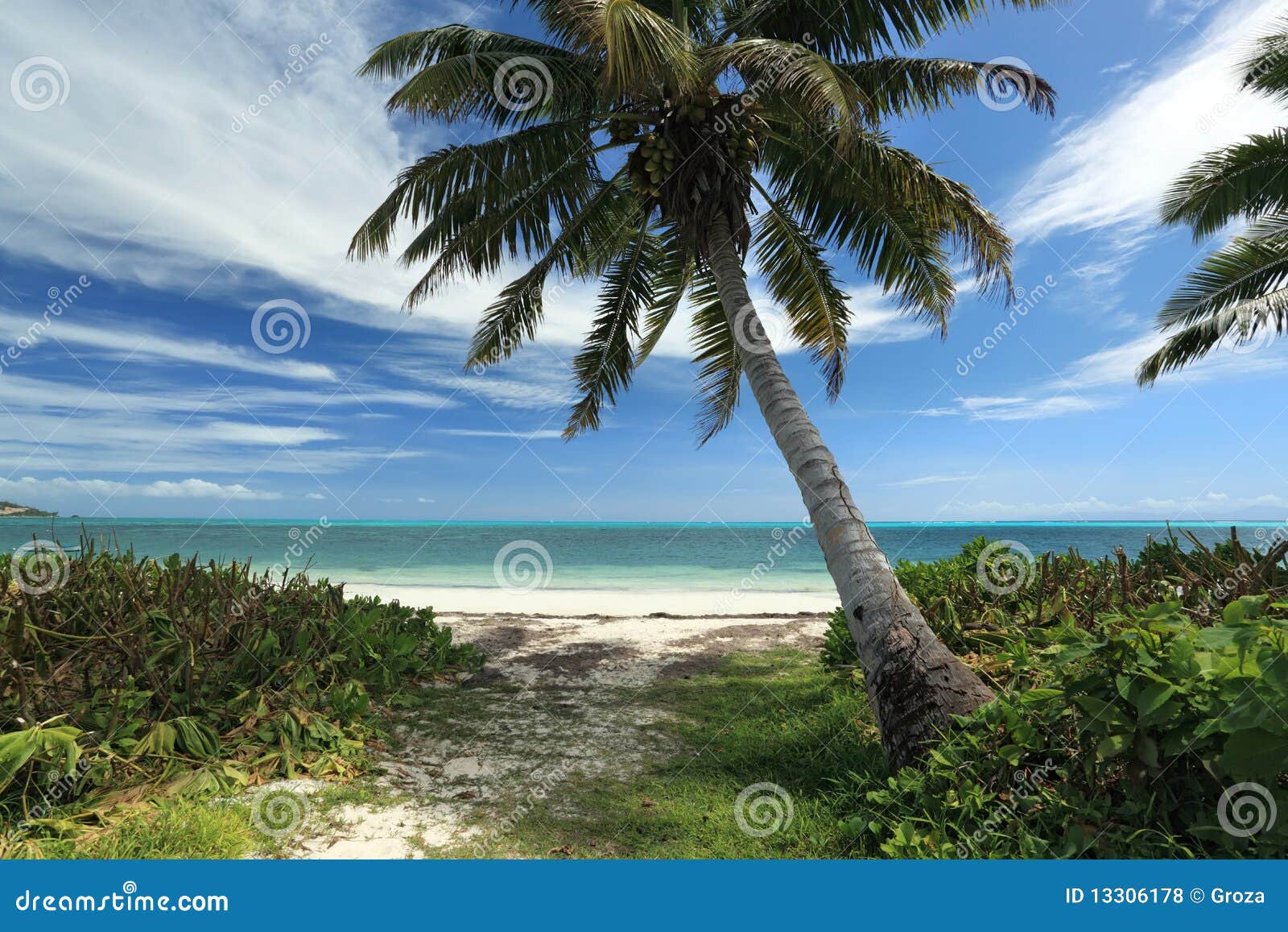 Seychelles. Palm Trees and Ocean Stock Photo - Image of heaven, equator ...