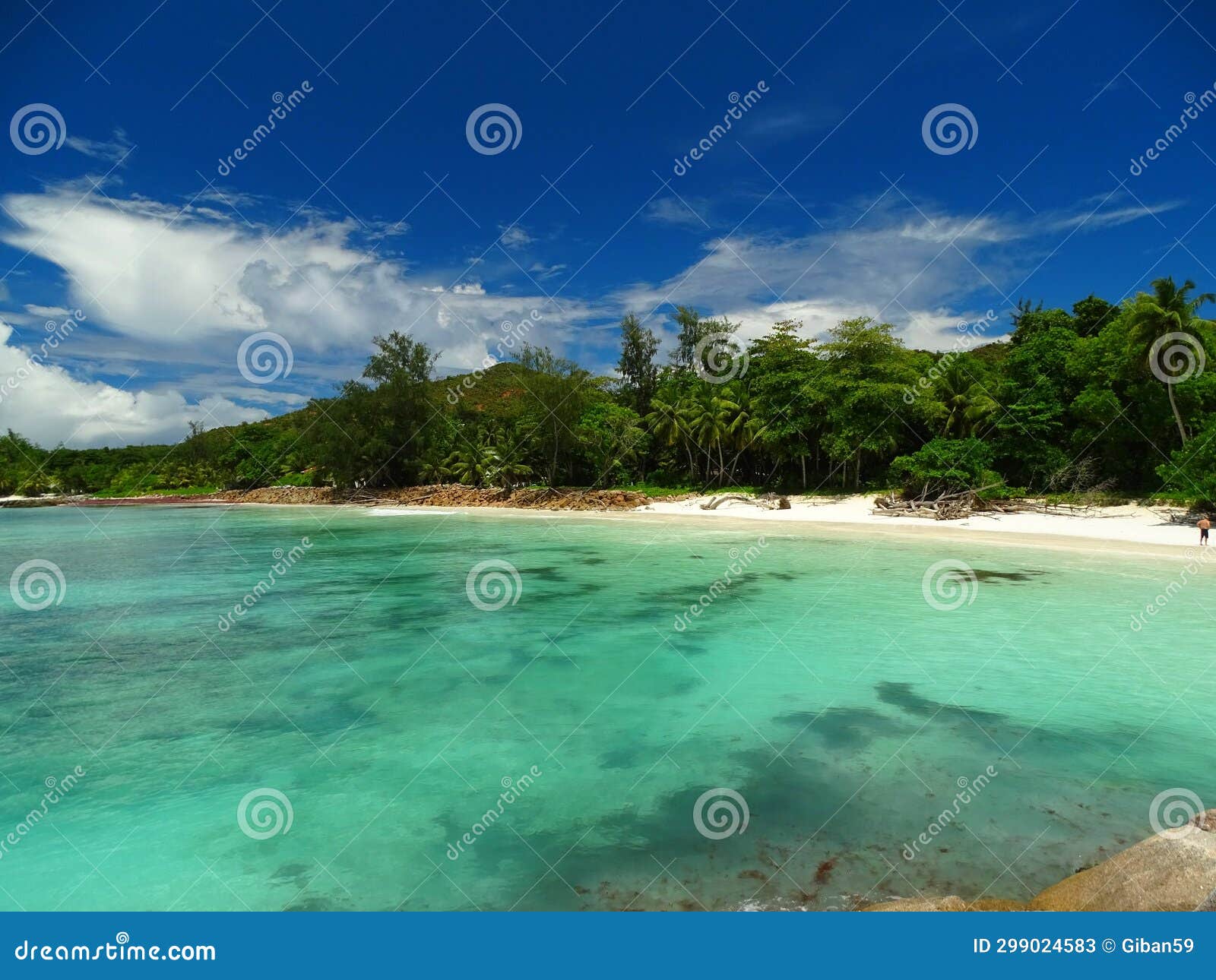 Seychelles, Praslin Island, Anse Kerlan Beach Stock Image - Image of ...