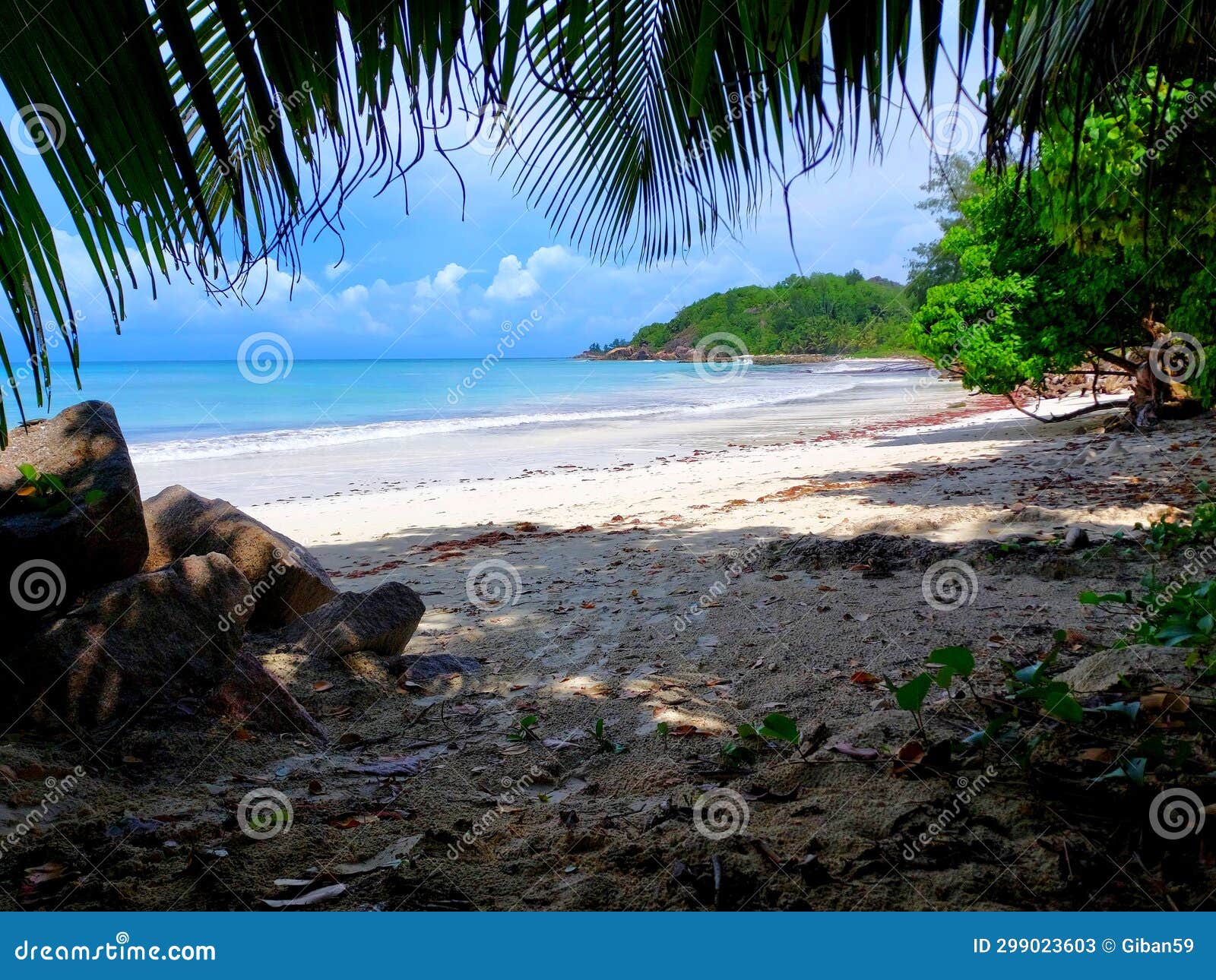 Seychelles, Praslin Island, Anse Kerlan Beach Stock Image - Image of ...