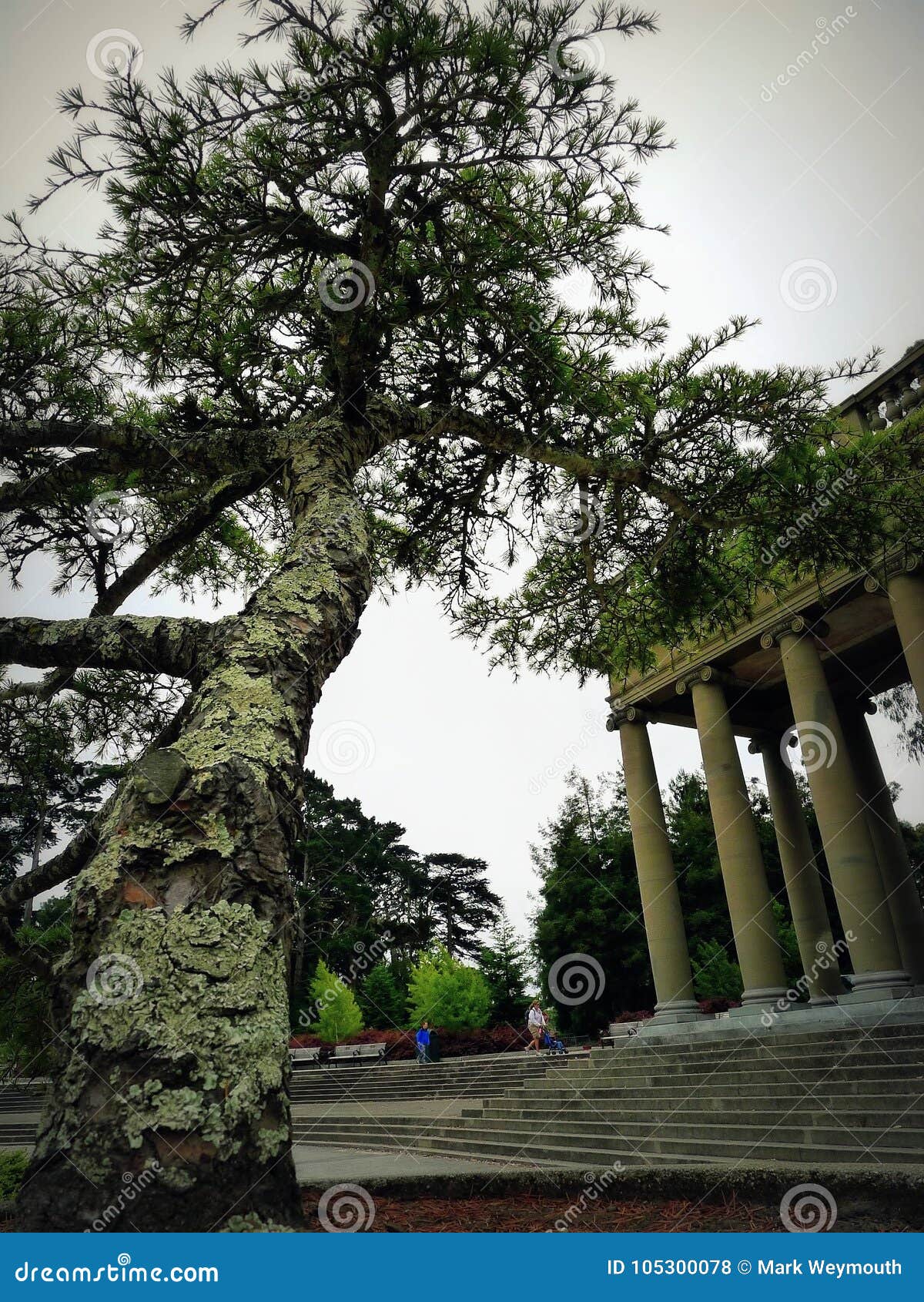 SF1 стоковое фото. изображение насчитывающей принято - 105300078