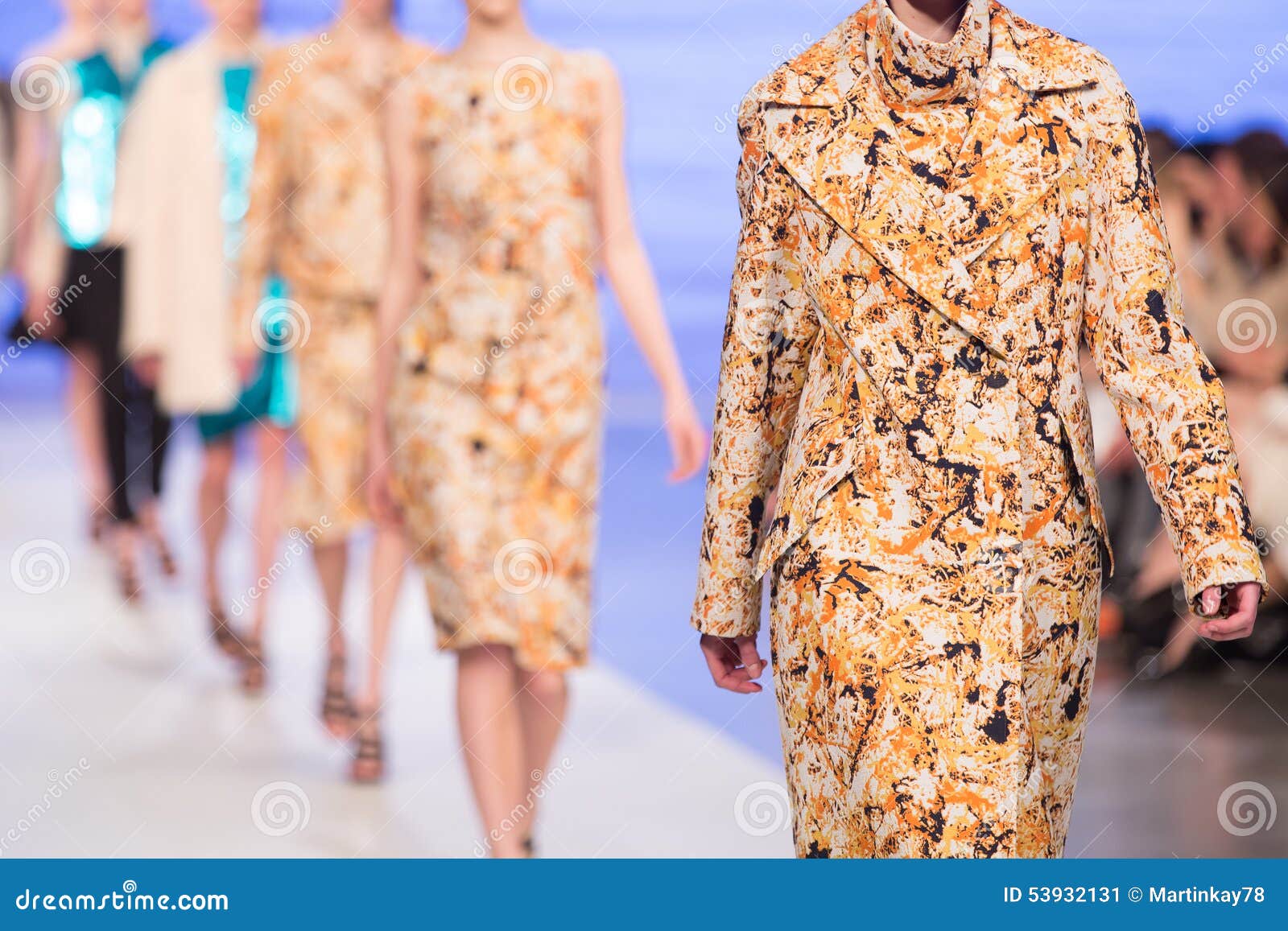 Sfilata di moda immagine stock. Immagine di siluette - 53932131