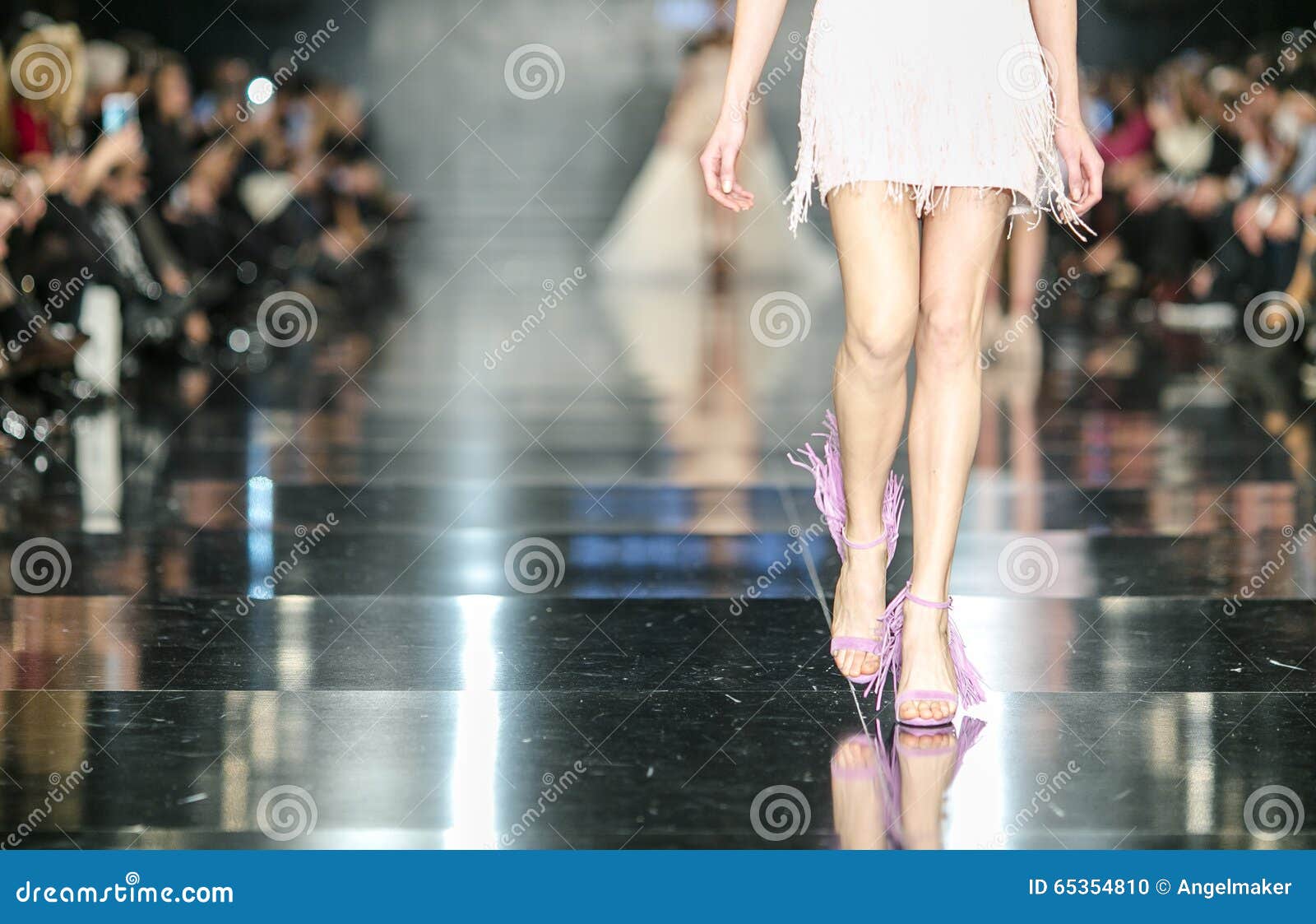 Sfilata di moda fotografia stock. Immagine di durante - 65354810