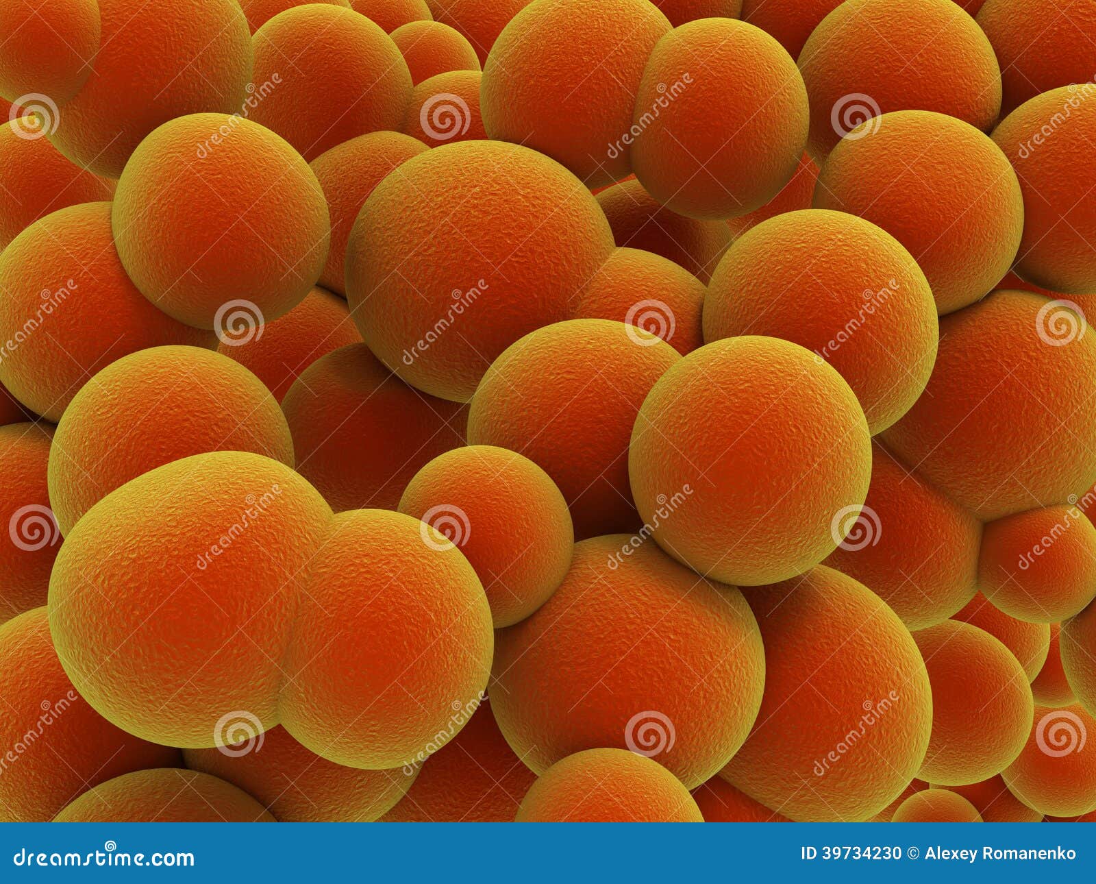 Sforzo dei batteri fotografia stock. Immagine di macro - 39734230