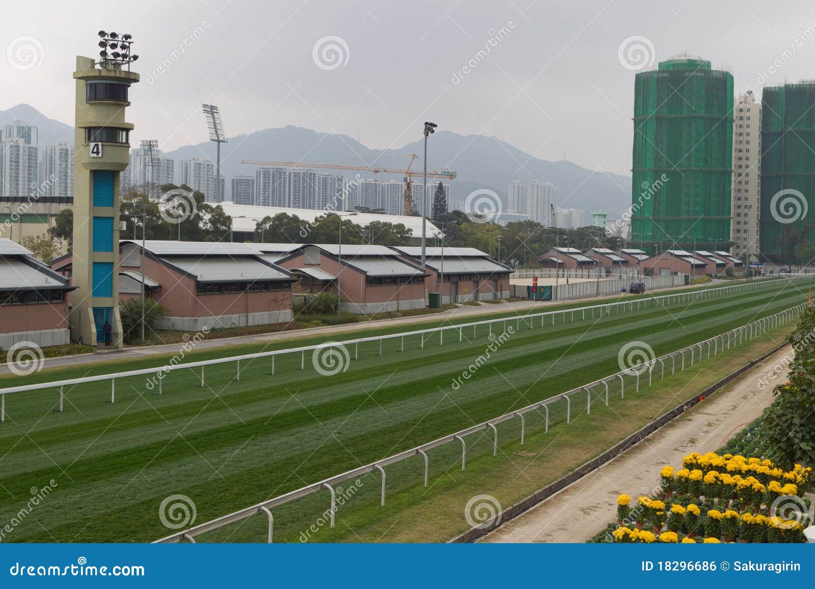 Sha Tin Racecourse, Hong Kong Editorial Photo - Image of entertainment ...