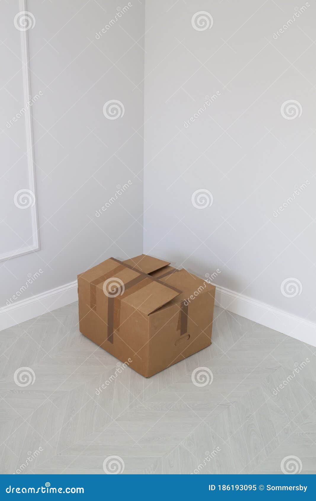 Shabby Cardboard Box in the Corner in an Empty New Room Stock Image ...