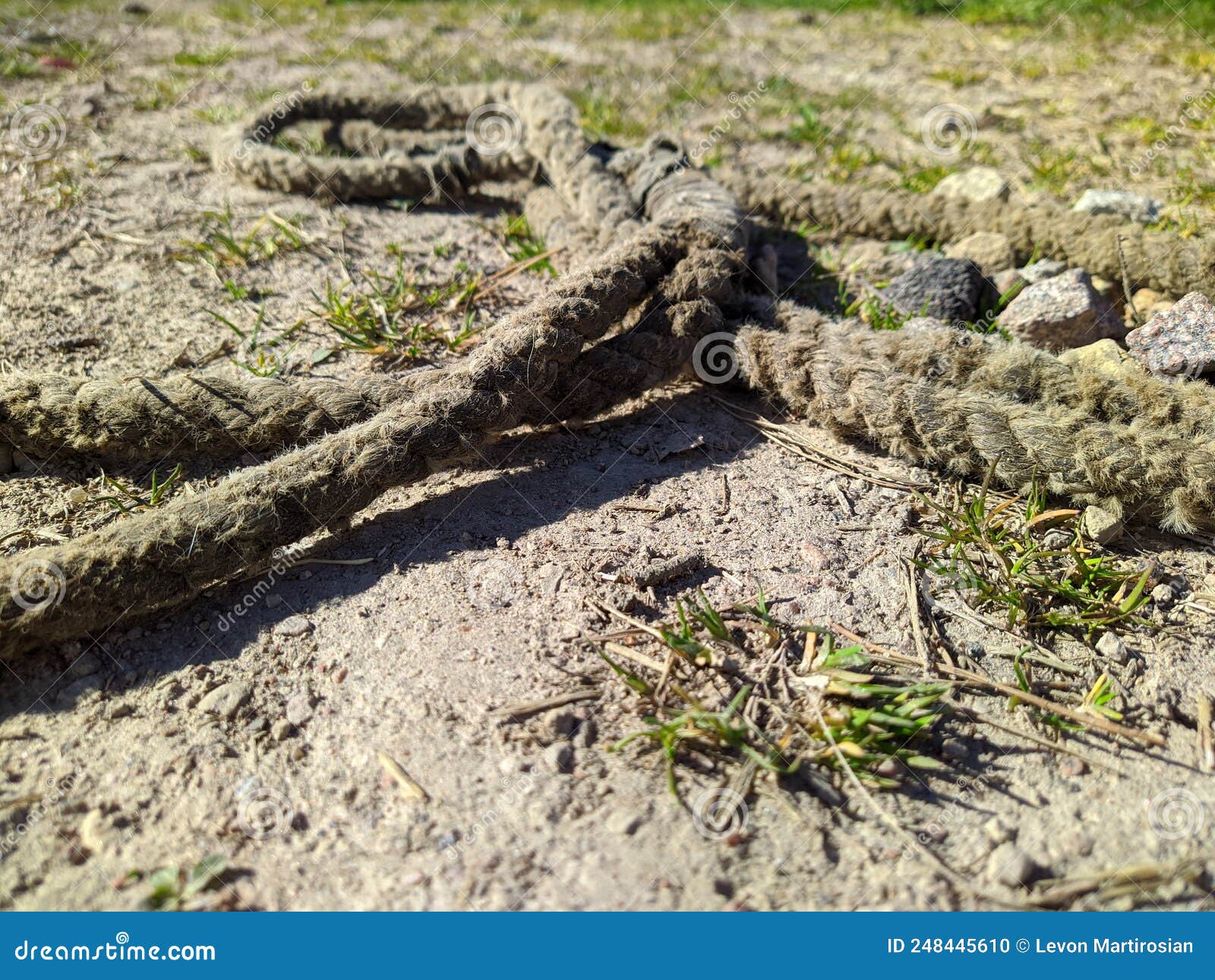 Shabby Old Rope on the Ground at Daytime. Stock Photo - Image of ...