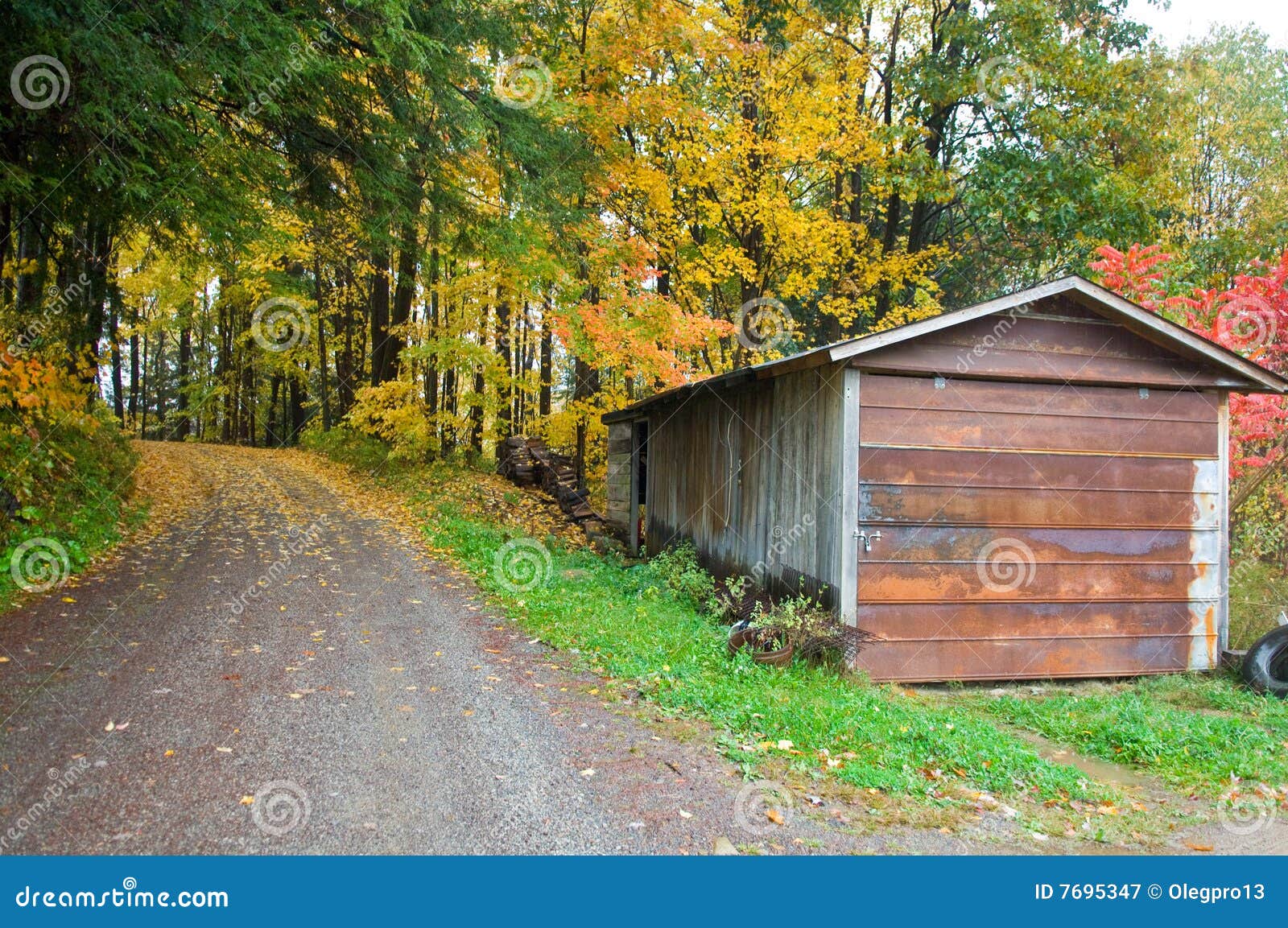 Shack 2 stock image. Image of park, leaves, country, farm - 7695347