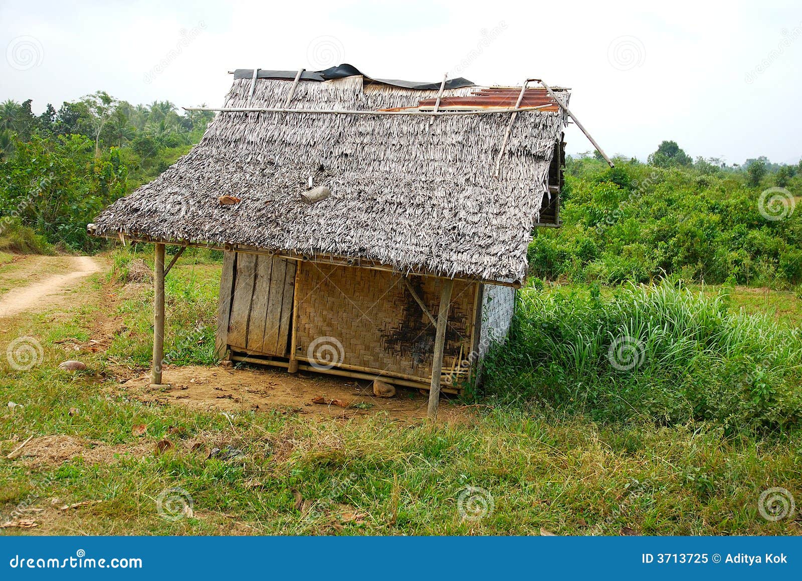 Shack stock image. Image of building, sunny, shack, grass - 3713725