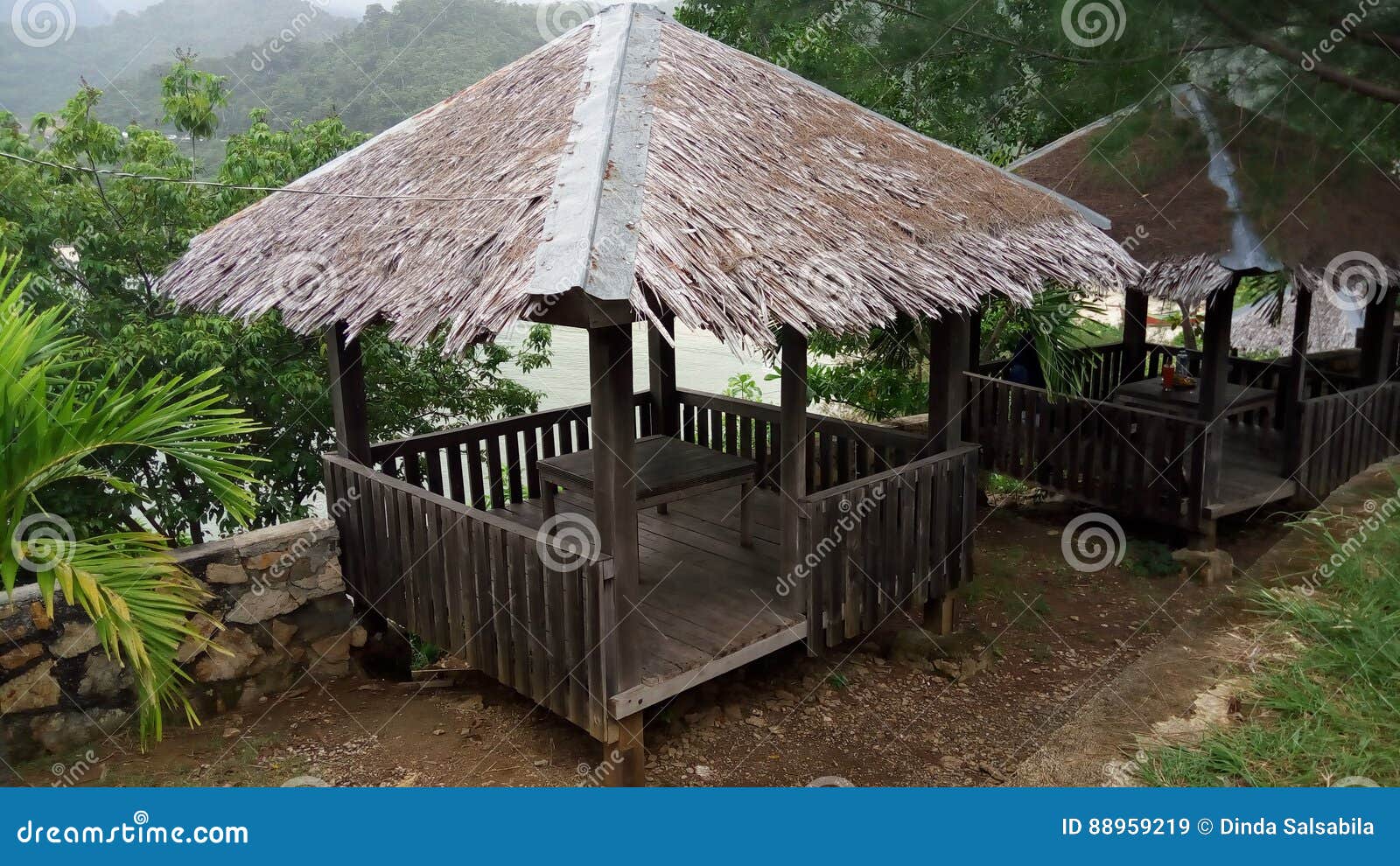 The shack stock image. Image of back, coffee, beach, flower - 88959219