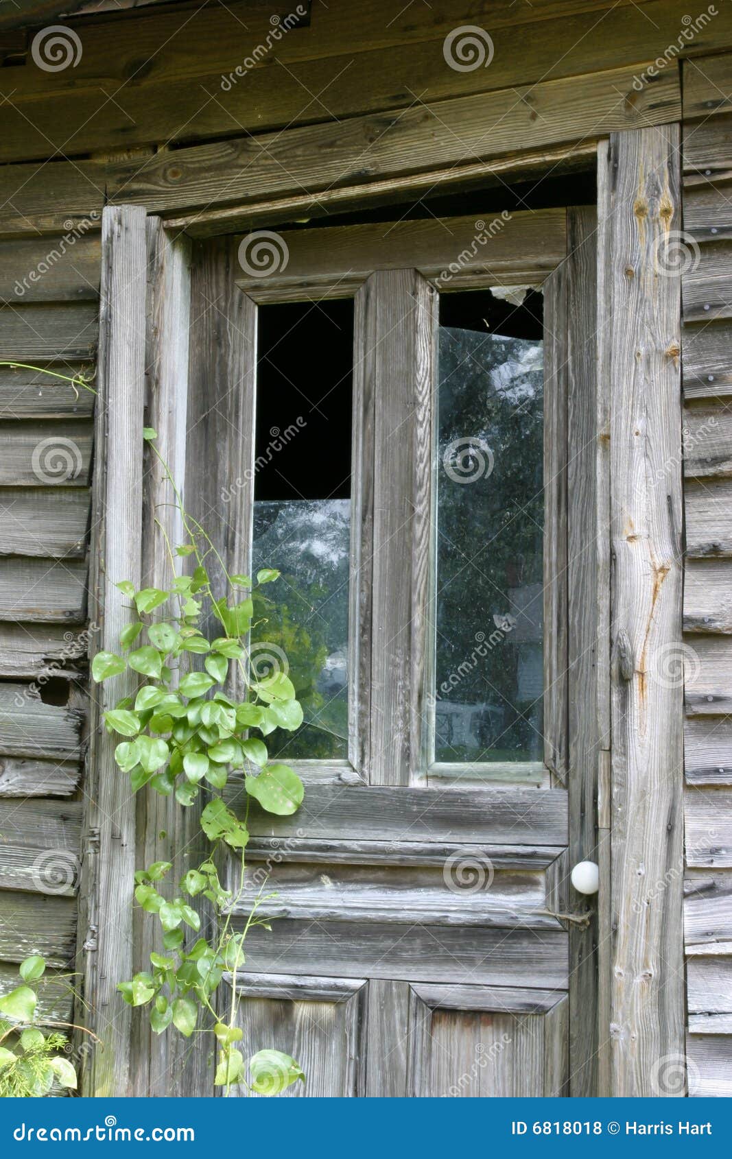 Shack Door Picture. Image: 6818018