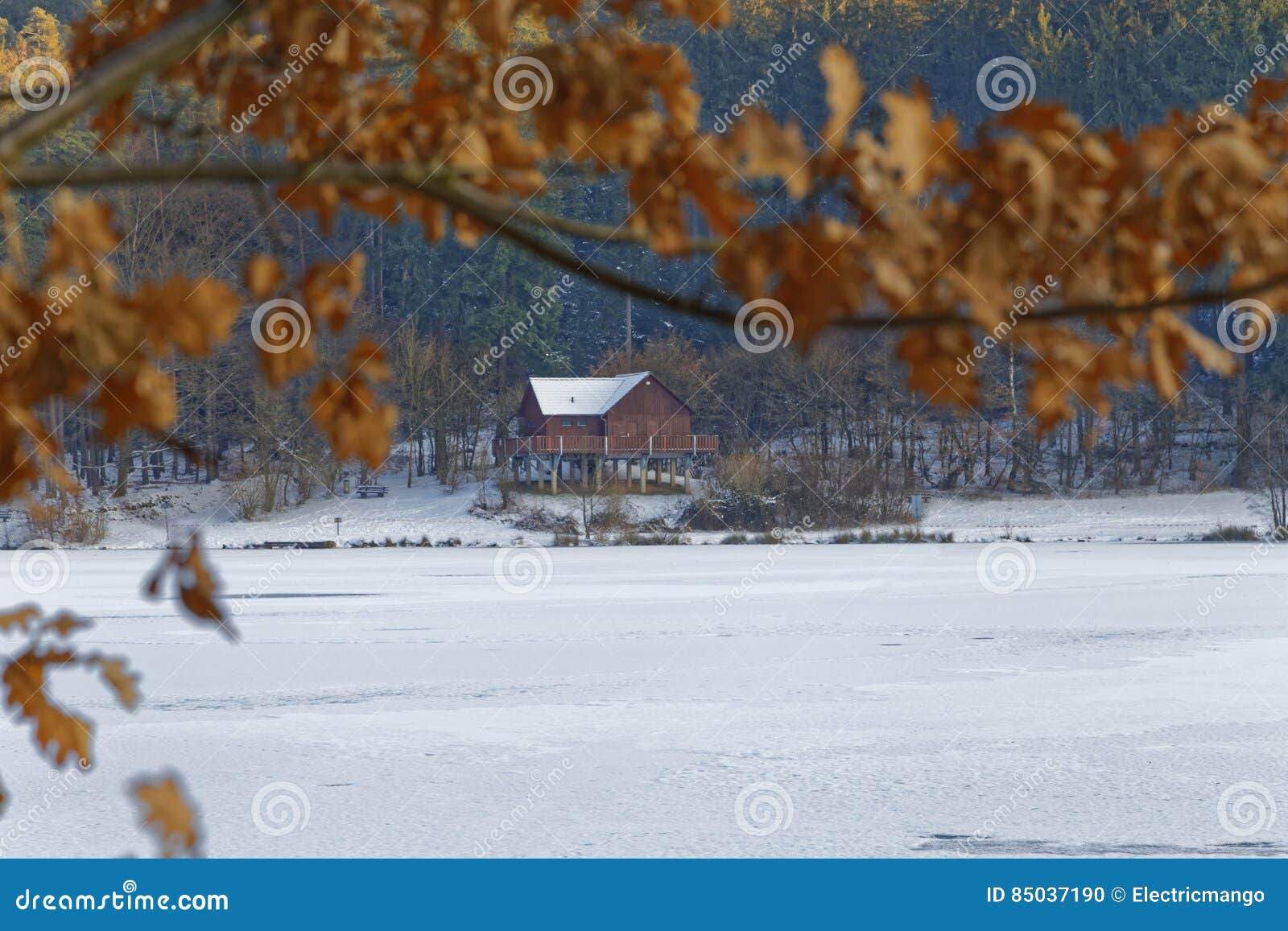 Shack at a frozen lake stock photo. Image of tree, mood - 85037190