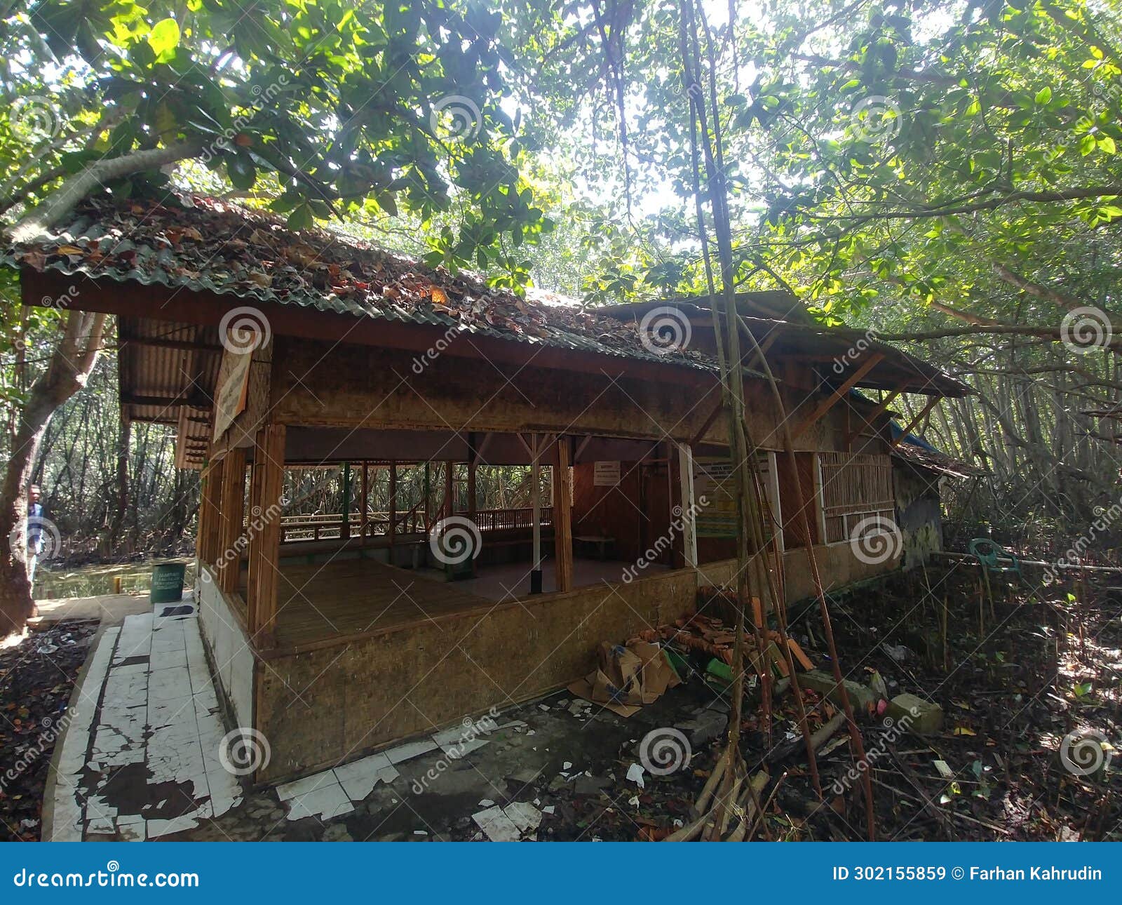A Shack in the Middle of Mangrove Forests Stock Image - Image of ...
