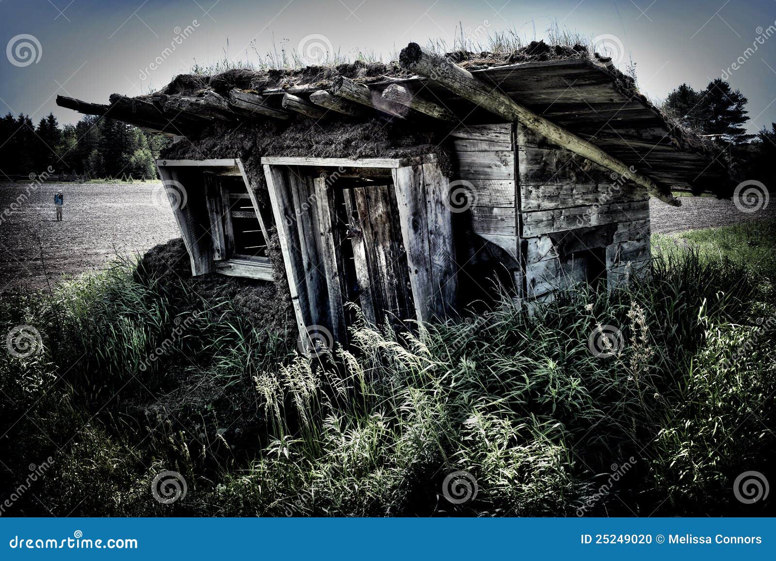 Shack with Sod Roof stock photo. Image of window, door - 25249020