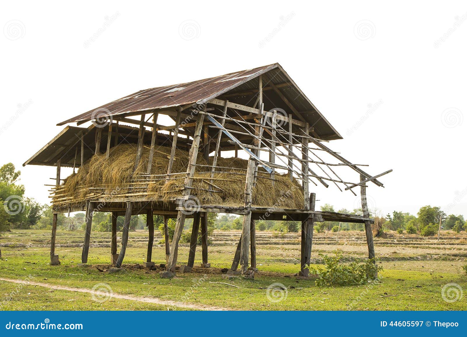 Shack for Storage of Rice Straw. Stock Image - Image of autumn, storage ...