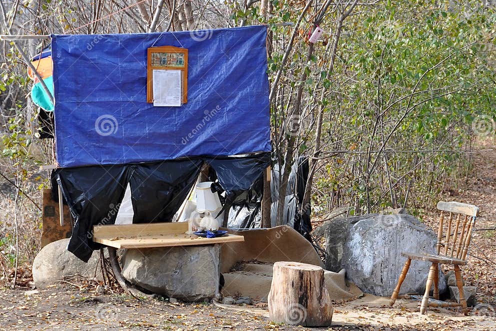 Shack in the woods stock photo. Image of squalid, derelict - 7034204