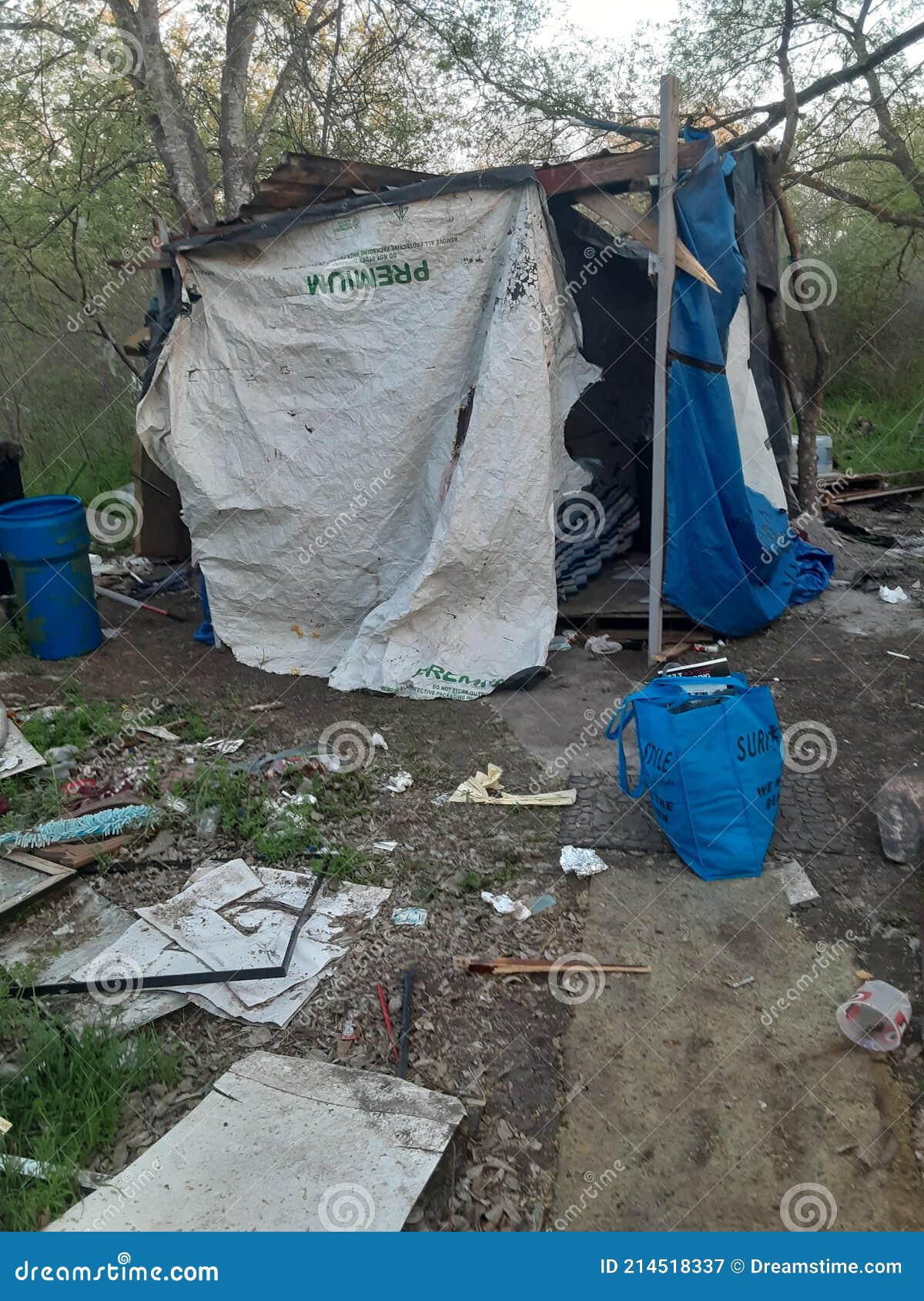 Woods1 Stock Photos - Free & Royalty-Free Stock Photos from Dreamstime