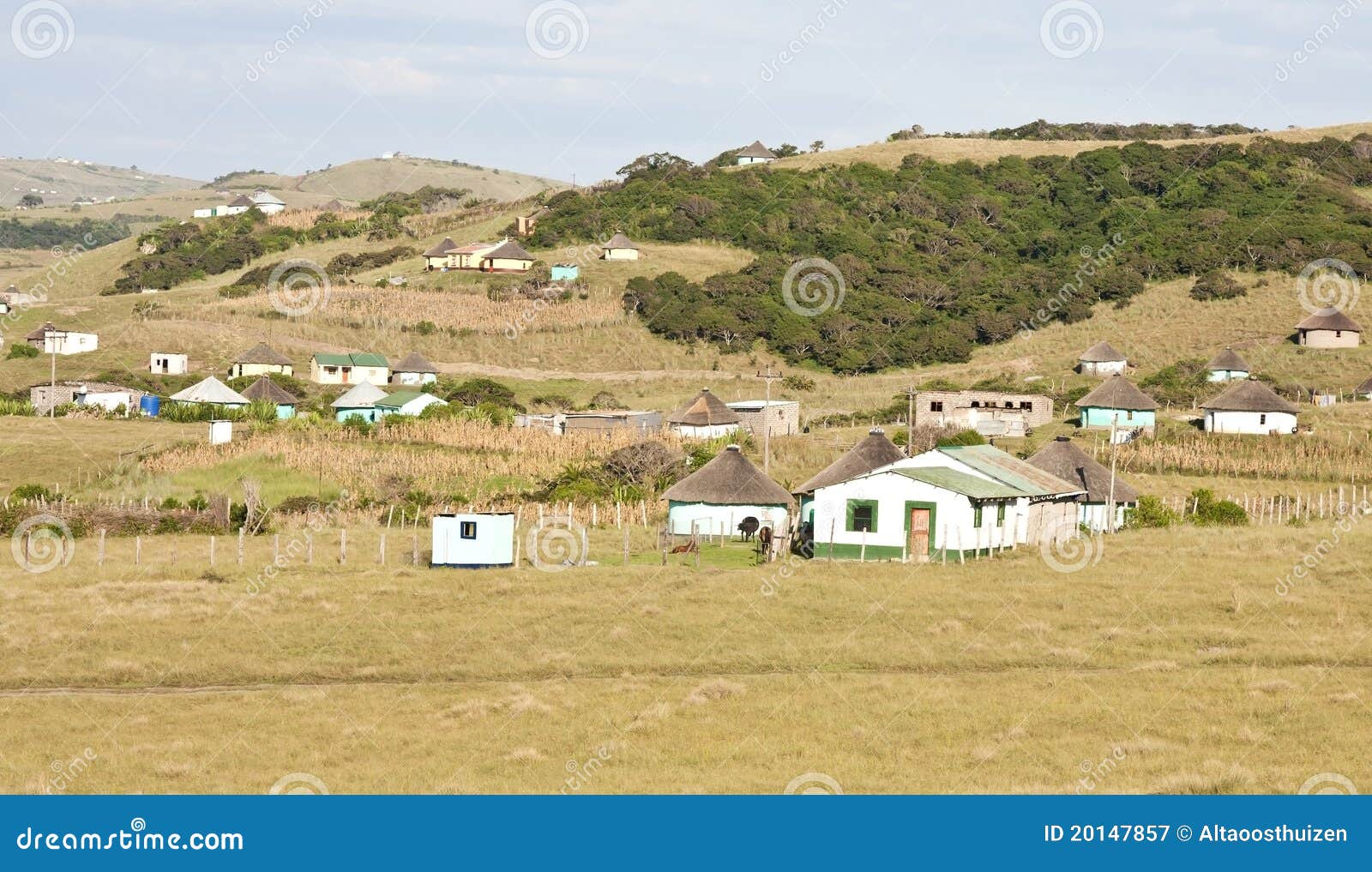 Shacks in Transkei South Africa Corrugated Iron Stock Image - Image of ...