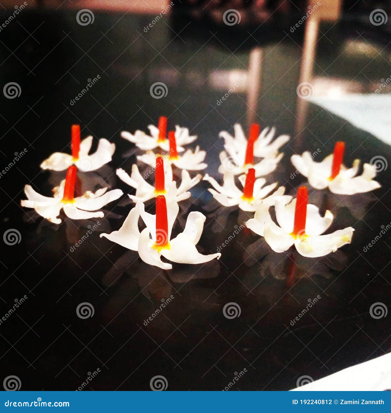 Shada Sheuly Ful Stock Photos - Free & Royalty-Free Stock Photos from ...