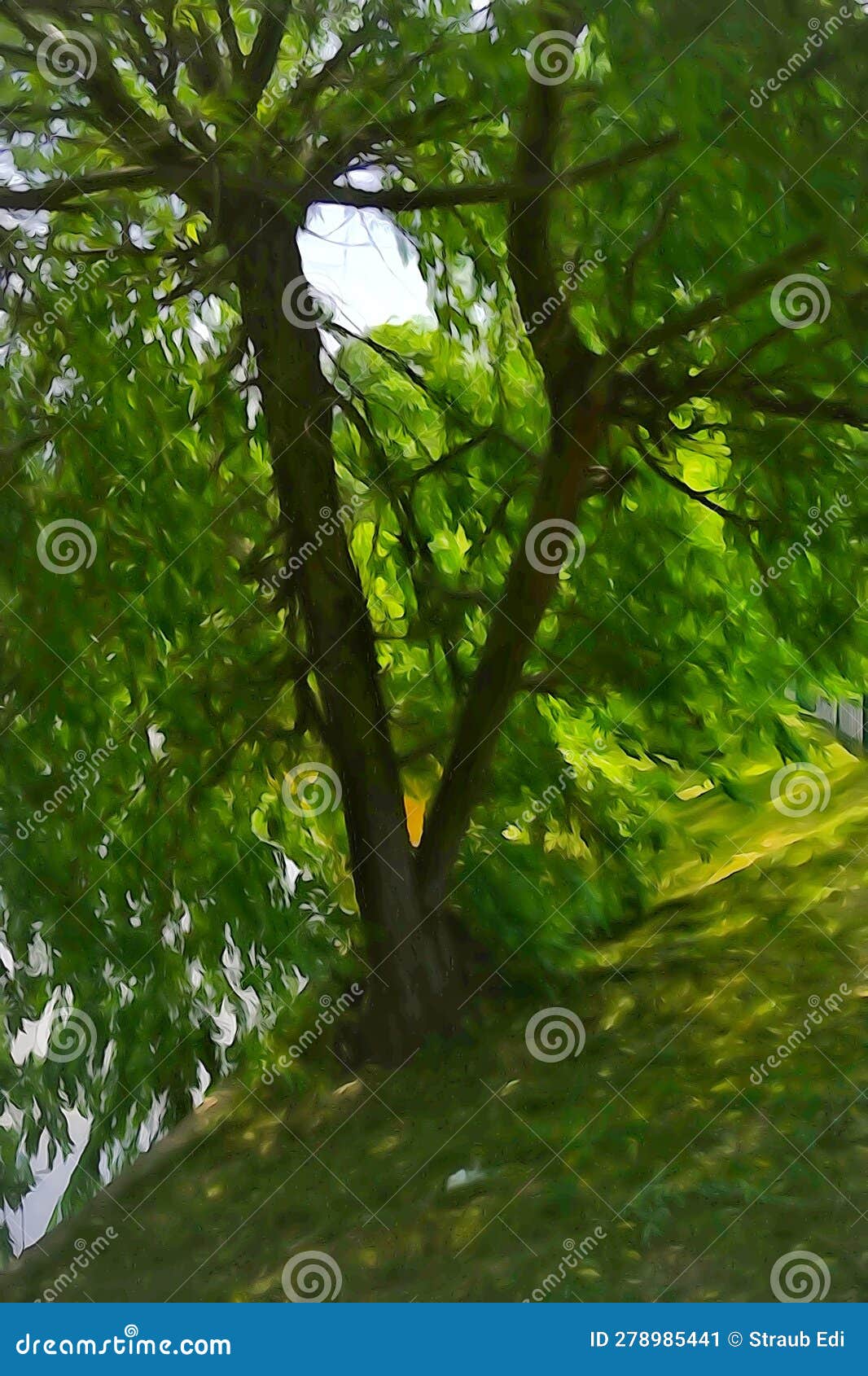In the Shade of a Bushy Tree Stock Image - Image of shade, grass: 278985441