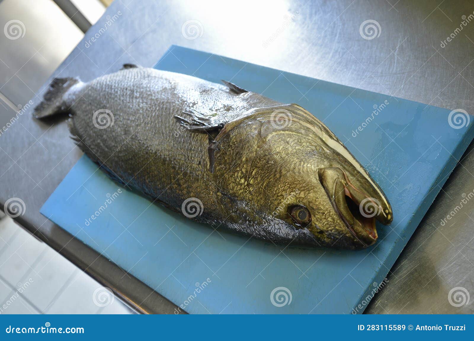 Shade-Fish on Cutting Board Stock Image - Image of prepared, corvina ...