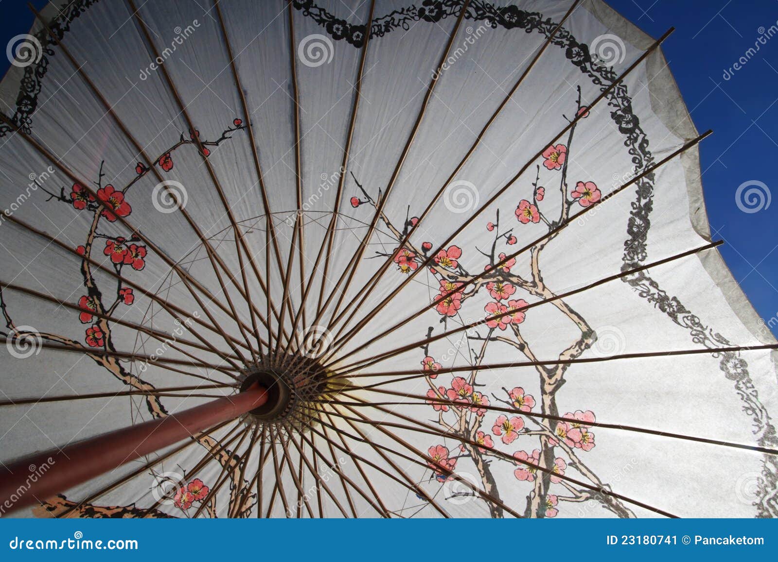 Shade parasol stock image. Image of white, umbrella, blossoms - 23180741