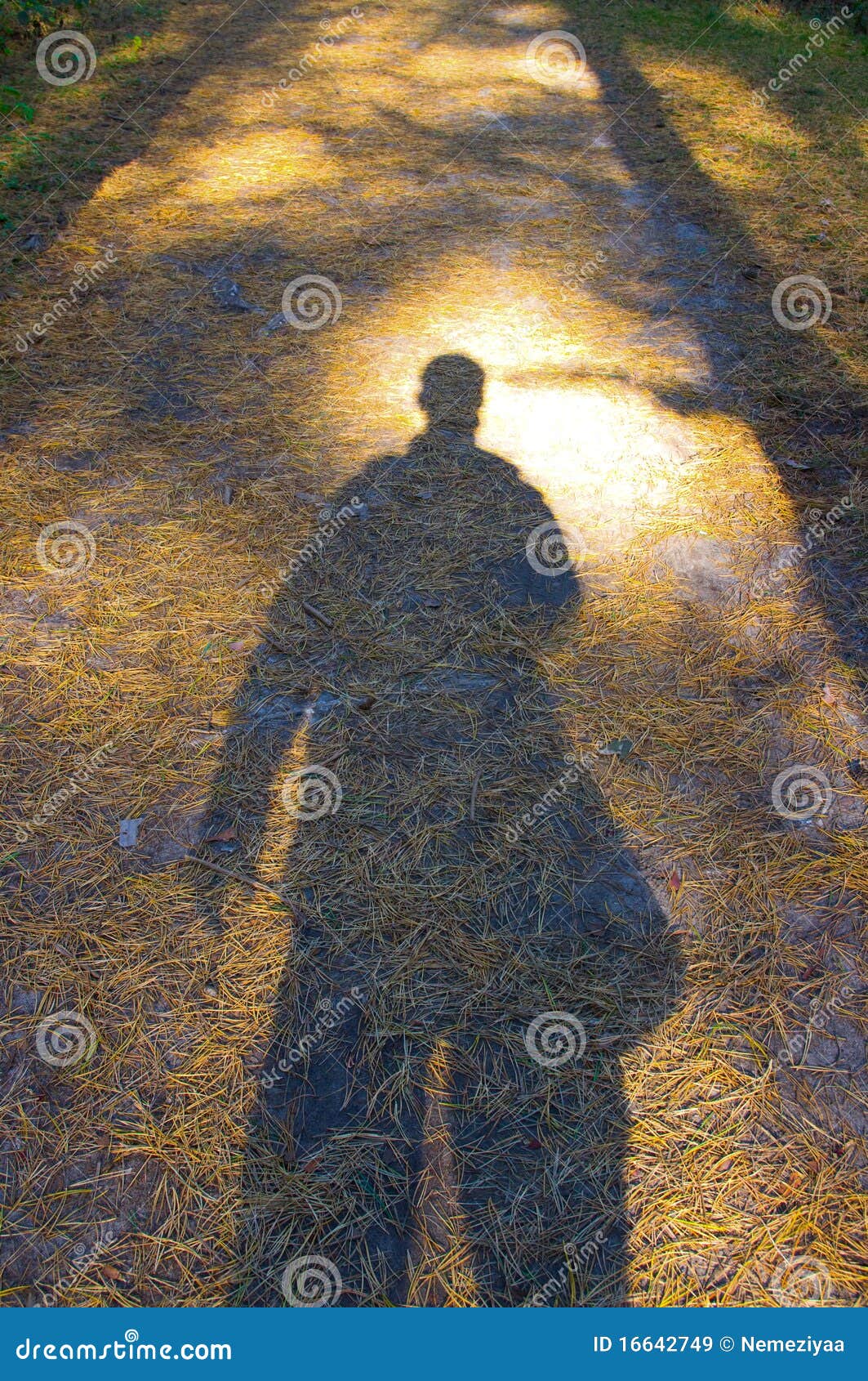 Shade of the person stock image. Image of evening, shade - 16642749