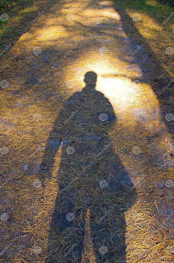 Shade of the person stock image. Image of evening, shade - 16642749