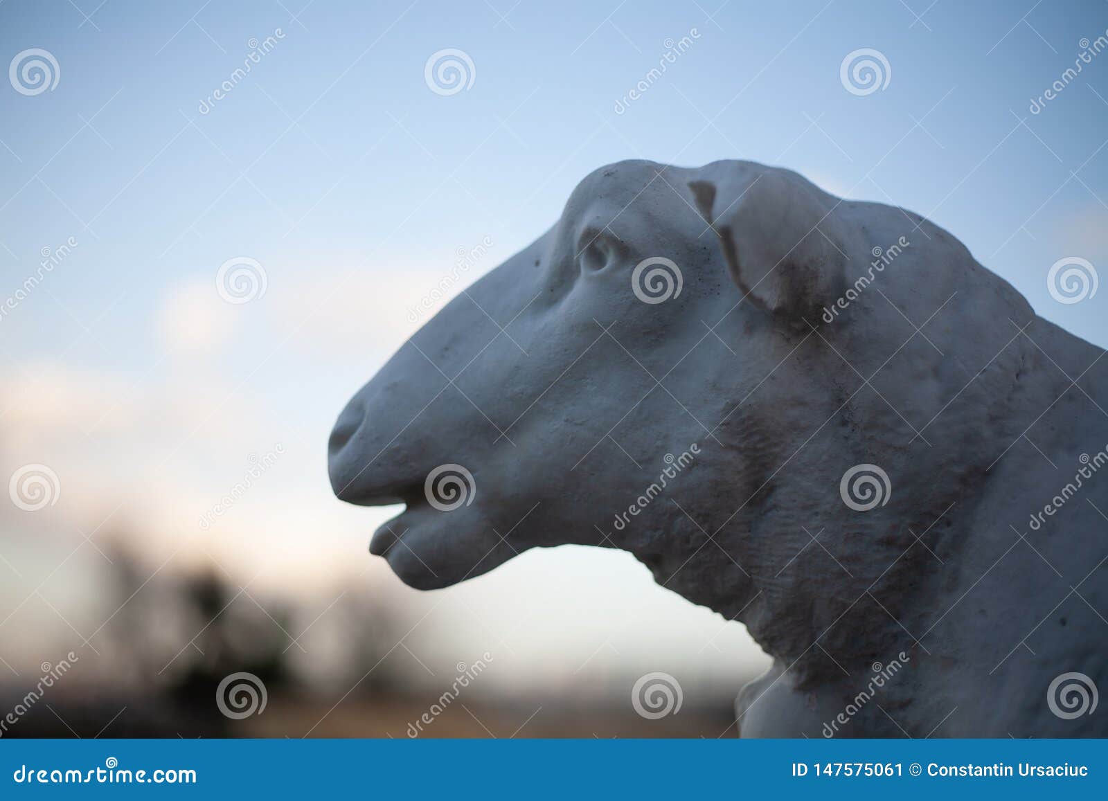 The shade of a statue stock image. Image of sacred, grass - 147575061