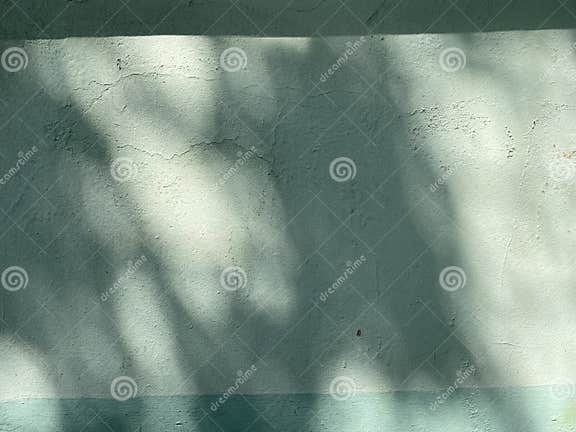 Shadow on the Wall, Tree Shade. Empty Wall with Tree Shadow . Stock ...