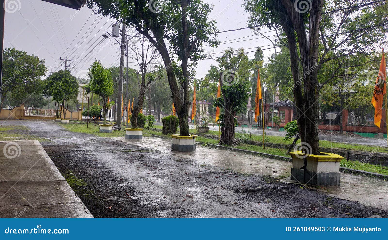 Shade Trees Rain Cables Water Stock Image - Image of cables, trees ...